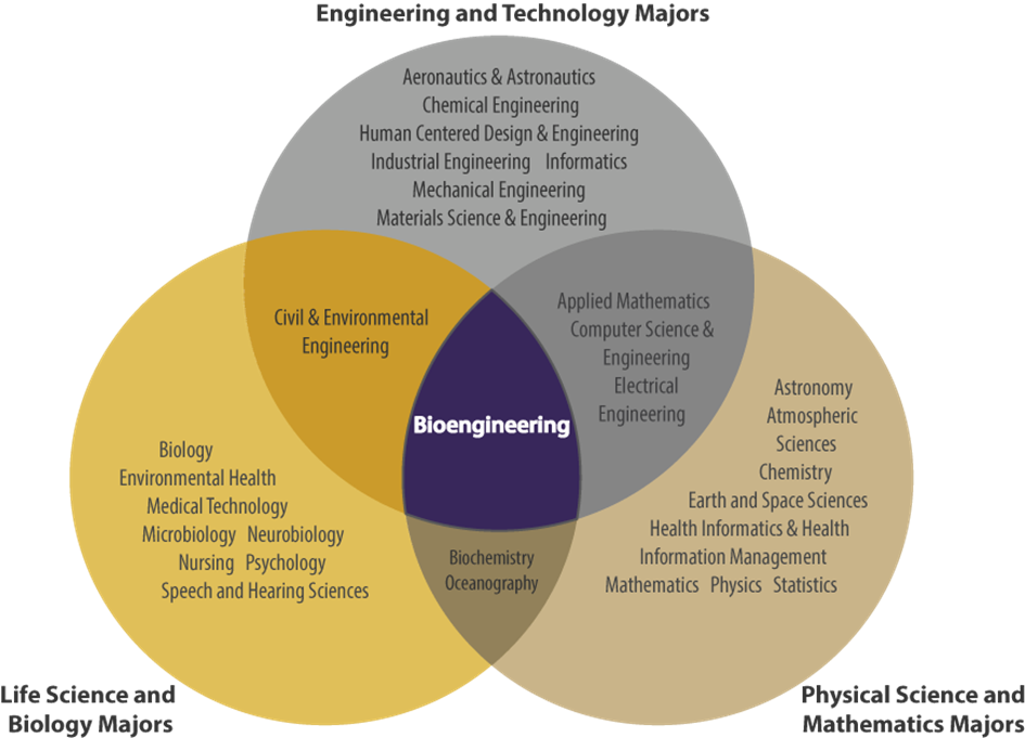 BIOENGINEERED CORNEA | IAS GYAN