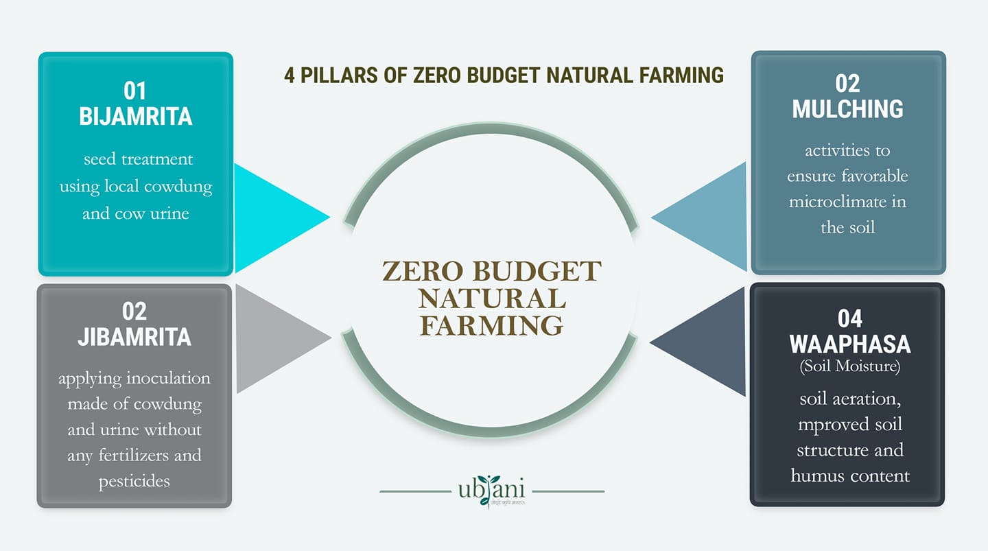 ZERO-BUDGET NATURAL FARMING (ZBNF)