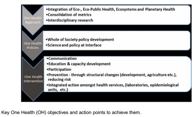 ‘ONE HEALTH’ APPROACH | IAS GYAN