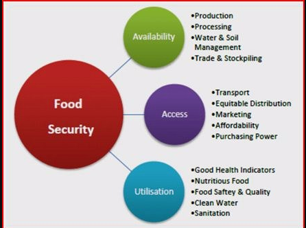FOOD SECURITY