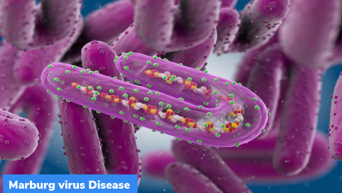 MARBURG VIRUS DISEASE | IAS GYAN