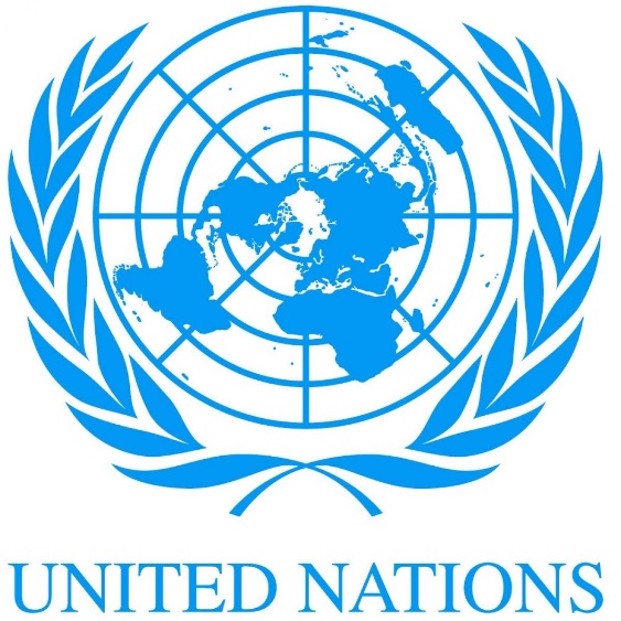 United Nations Security Council (UNSC)