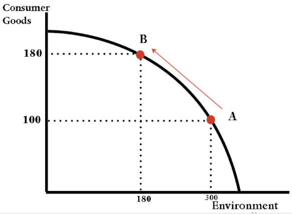 ECONOMIC GROWTH VS ENVIRONMENT PROTECTION