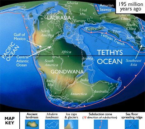 Tethys Sea Map