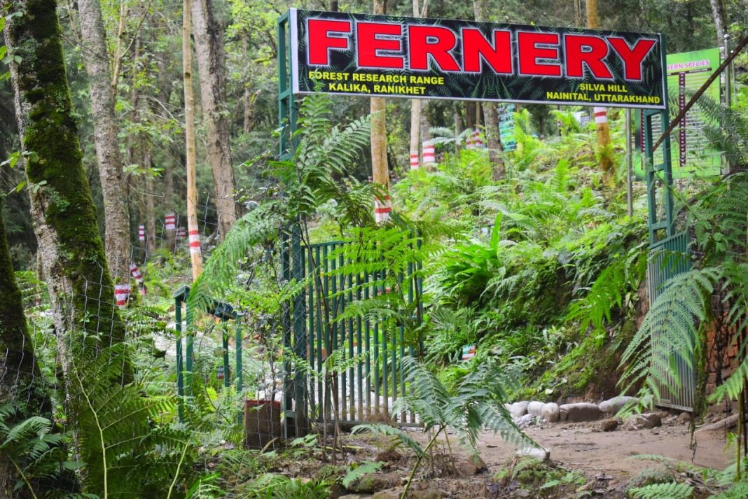 FERNERY