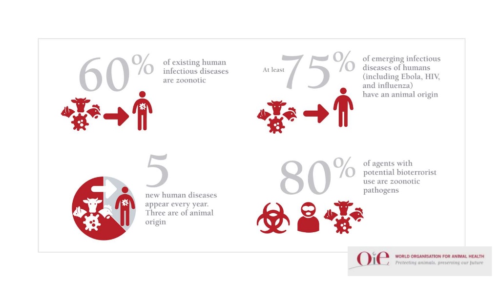 One Health UPSC, One Health Concept UPSC