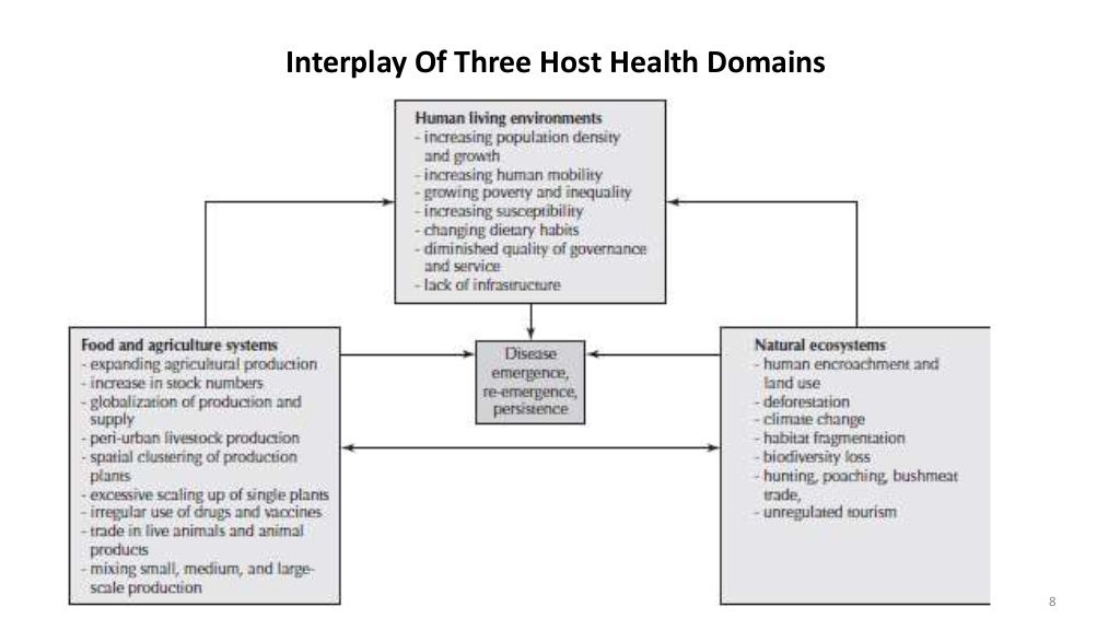 One Health UPSC, One Health Concept UPSC