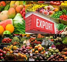 AGRI EXPORTS | IAS GYAN