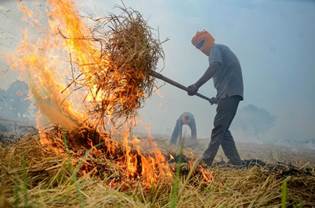 STUBBLE BURNING | IAS GYAN