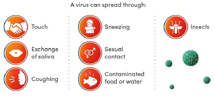 ALL YOU NEED TO KNOW ABOUT VIRUSES
