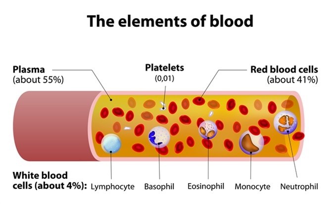COVID-19 Vaccines and Rare Blood Clots