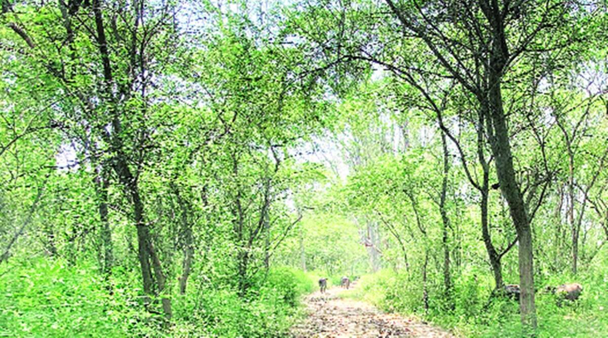 Forest Rights Act