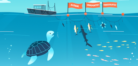 Illegal, Unregulated Fishing and Underreported Fishing (IUU Fishing ...